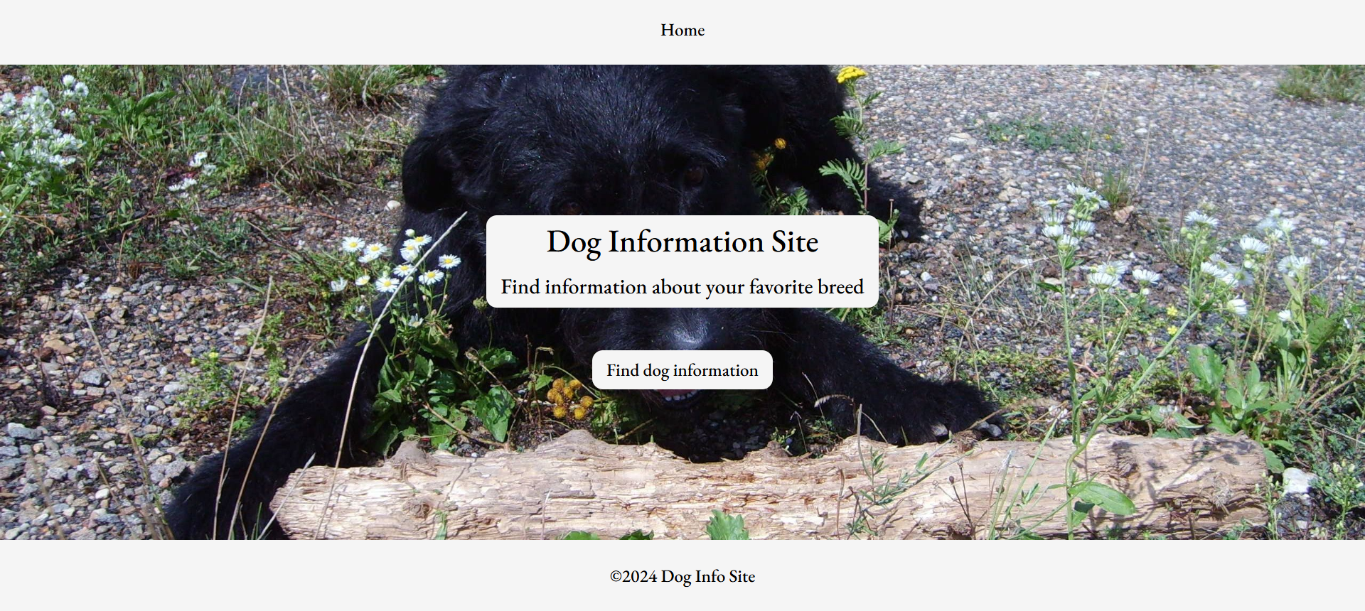 Gabe Hollifield's Personal Website - Home Page